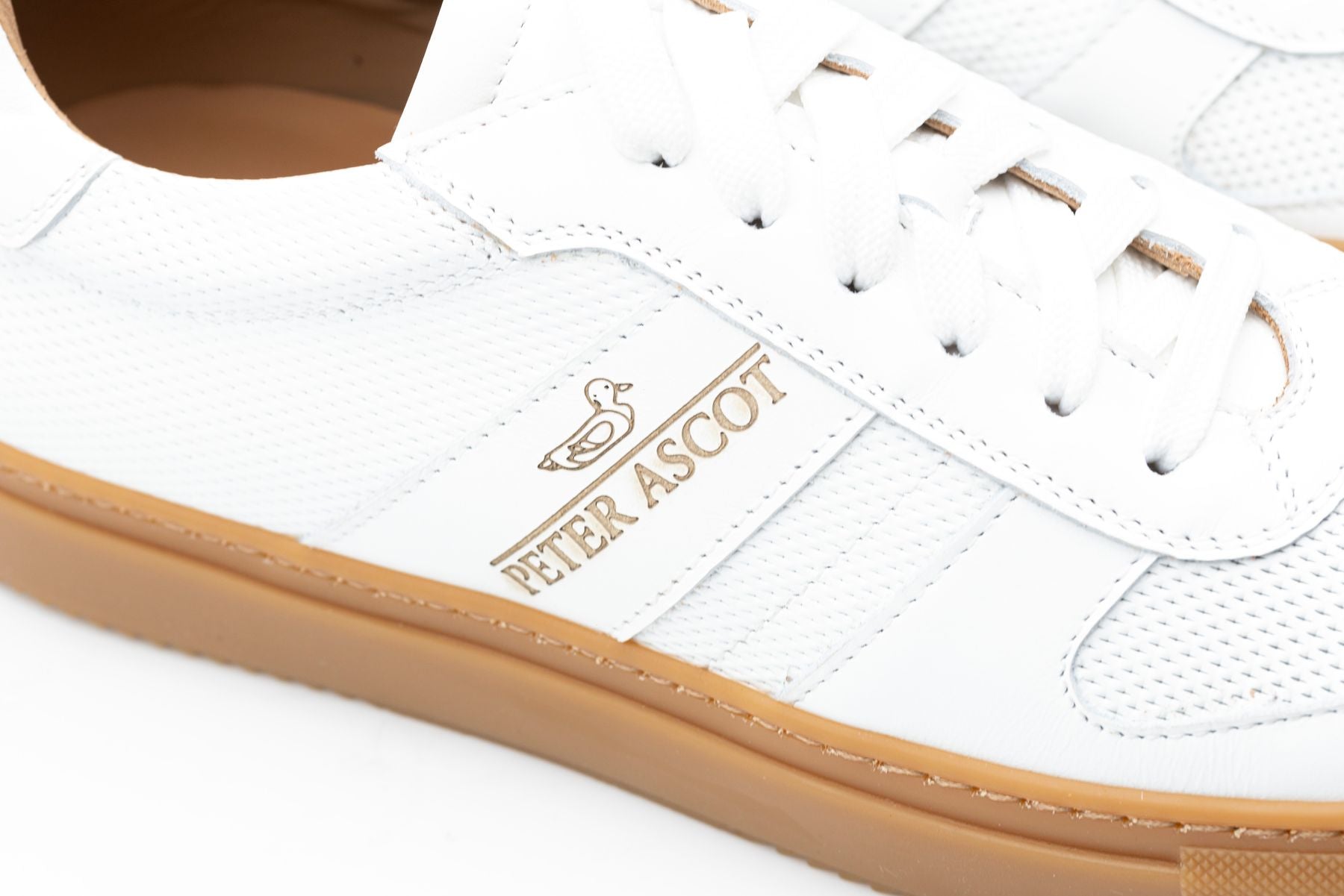 Sneaker Johannesburg – Peter Ascot